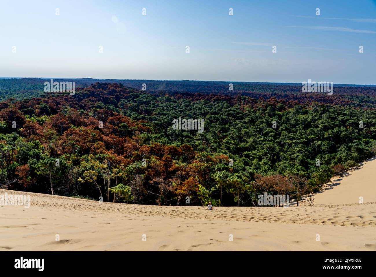 Panoramic view of the the Pyla dune, located in the Arcachon bay in ...