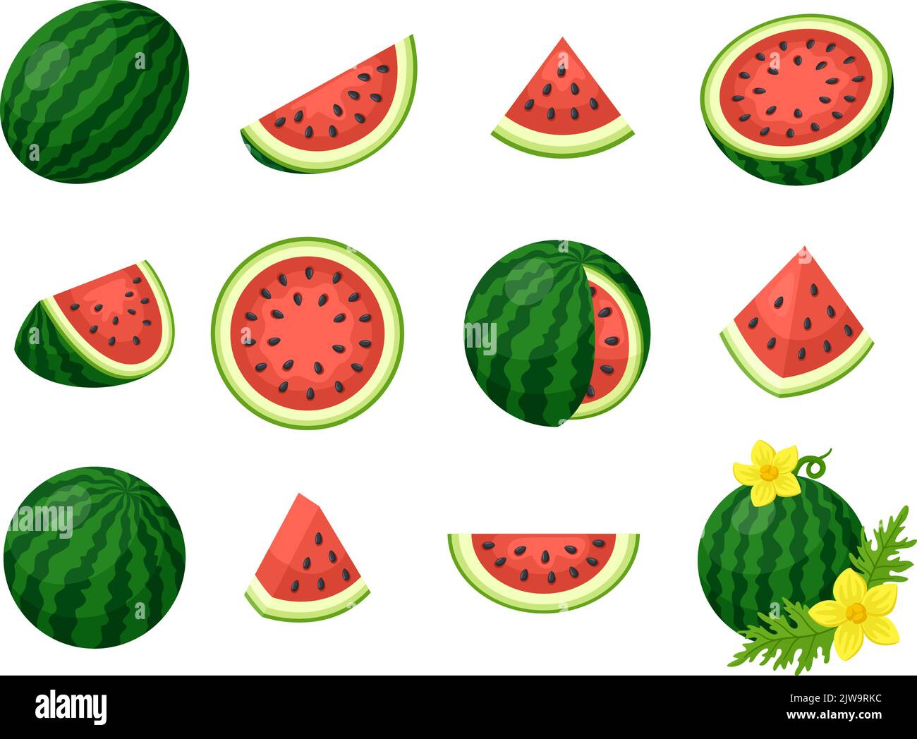 Fresh cartoon watermelon cut and slices. Diet fruits, tropical market ...