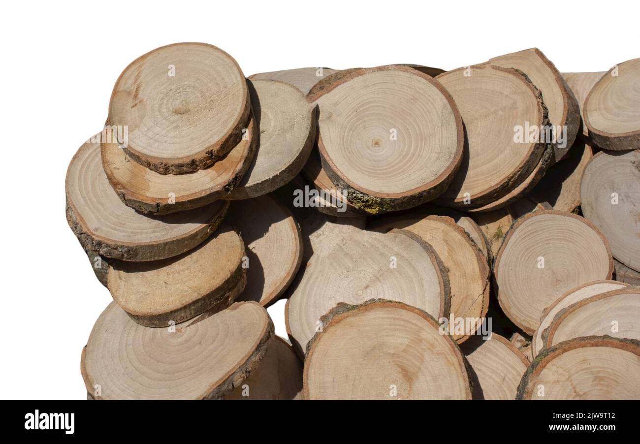 Trees cut into thin pieces Stock Photo - Alamy
