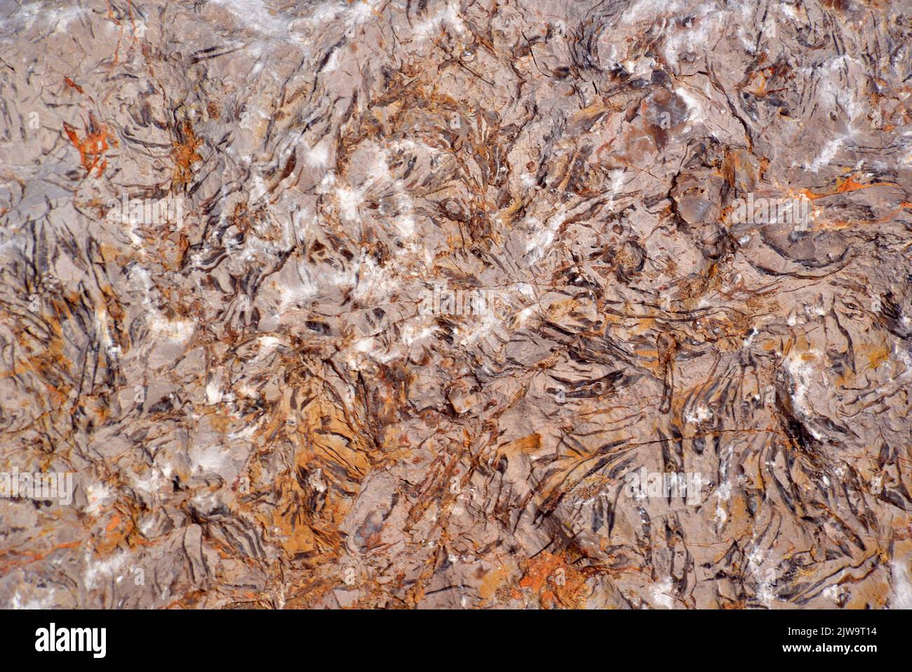 Strange rock formation with disordered patterns Stock Photo - Alamy