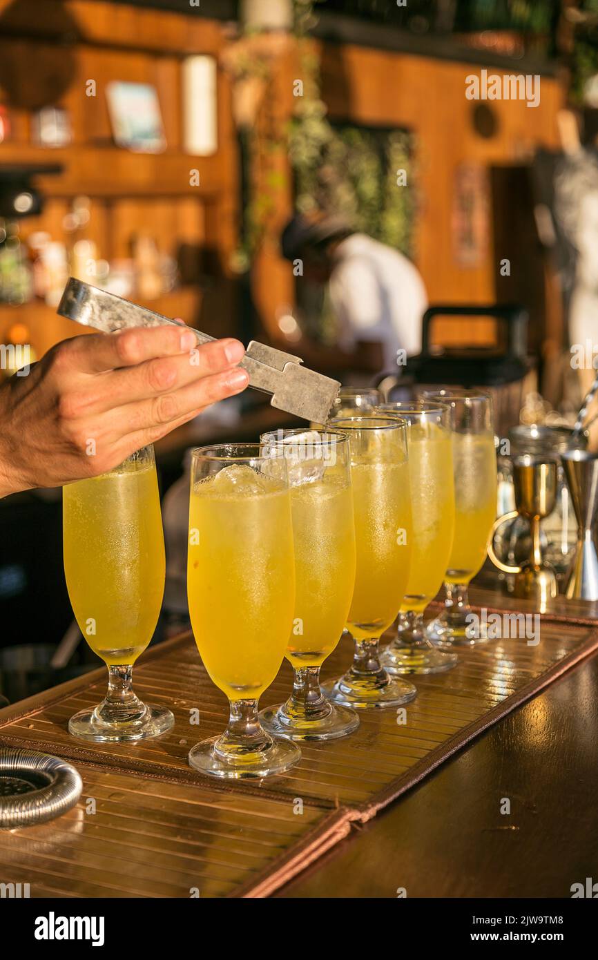 Bartender pouring several drinks at a time and placing ice in each one ...