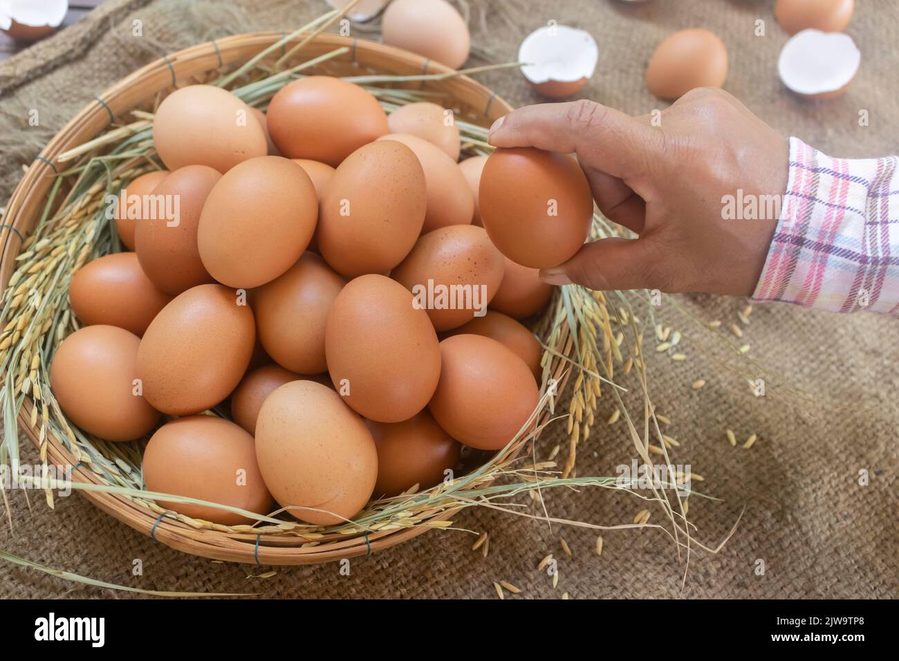 Fresh chicken egg hi-res stock photography and images - Alamy