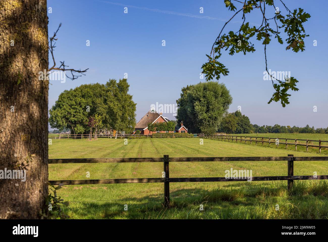 Traditional farm surrounded by old trees and espalier in Tolbert ...