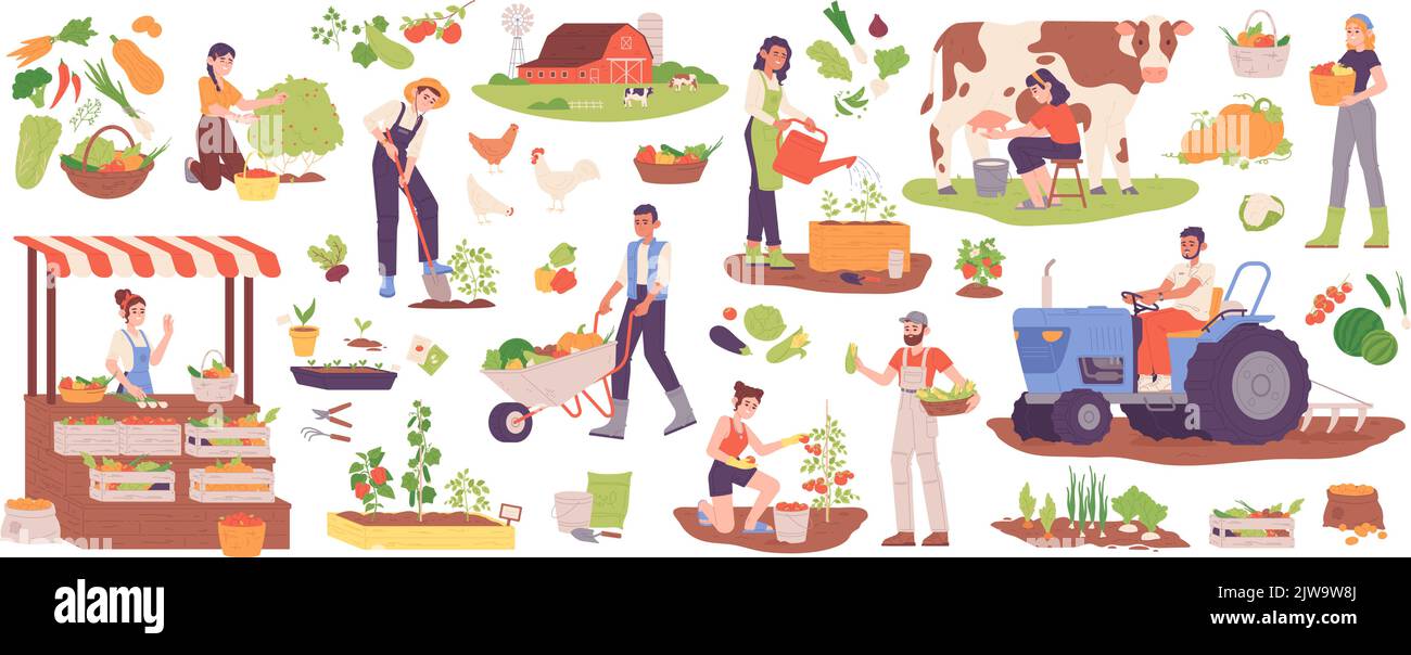 Local organic production. Agriculture worker produce food product in ...