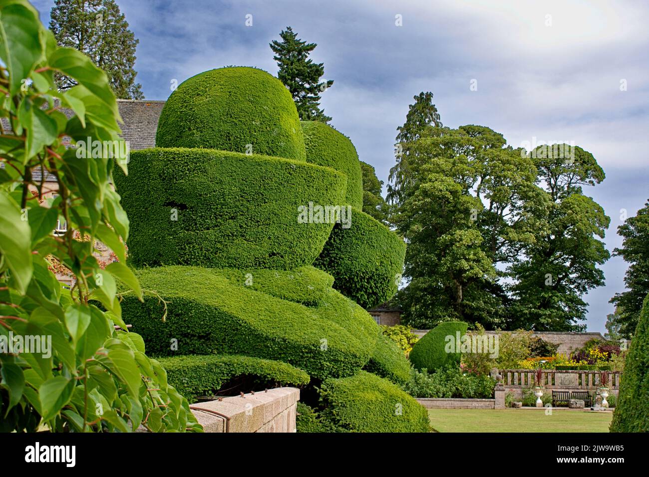 CRATHES CASTLE BANCHORY SCOTLAND THE HARLED 16C CASTLE YEW TREE TOPIARY ...