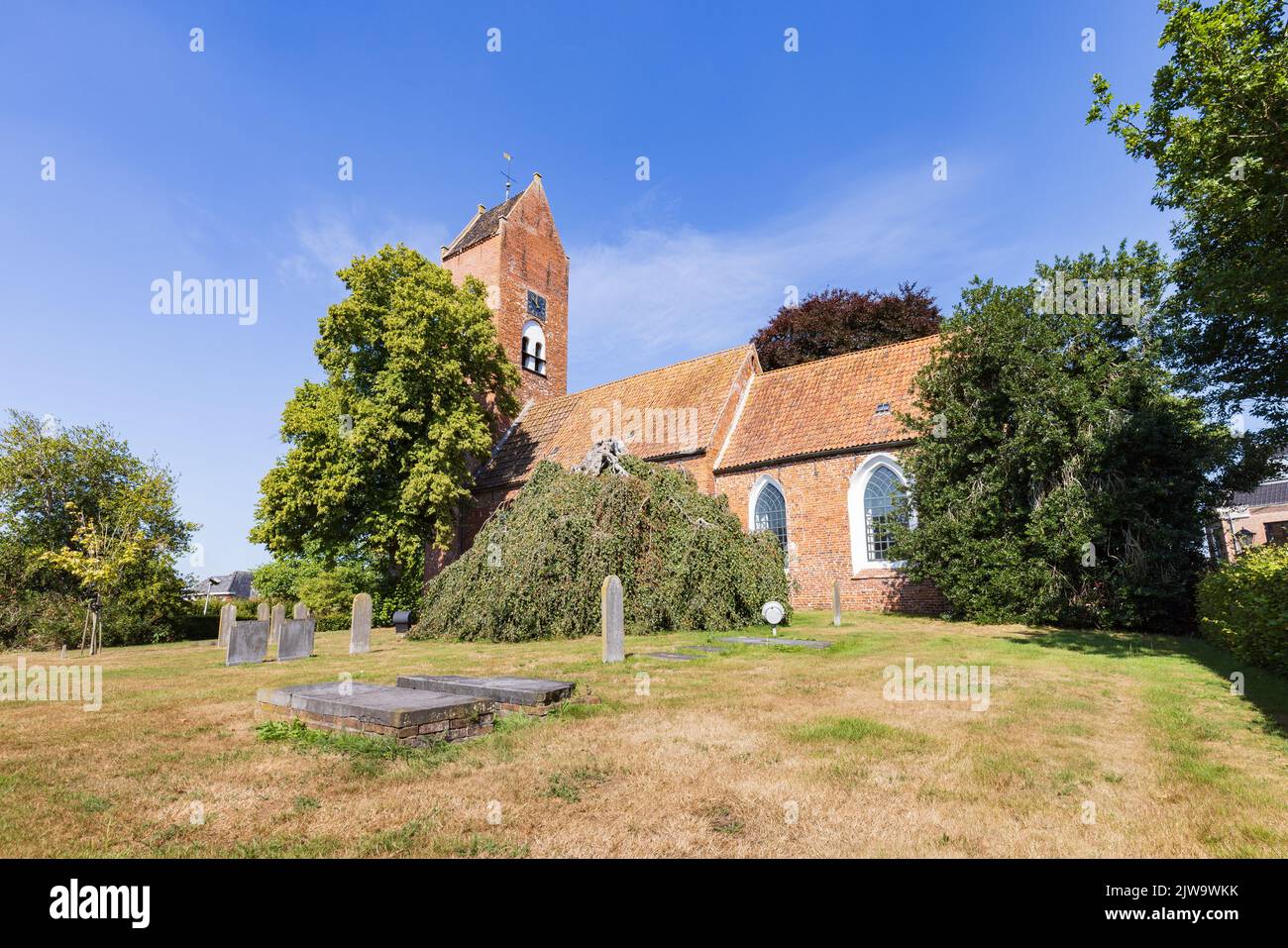 Classic church from 13th century surrounded by big trees in Tolbert ...