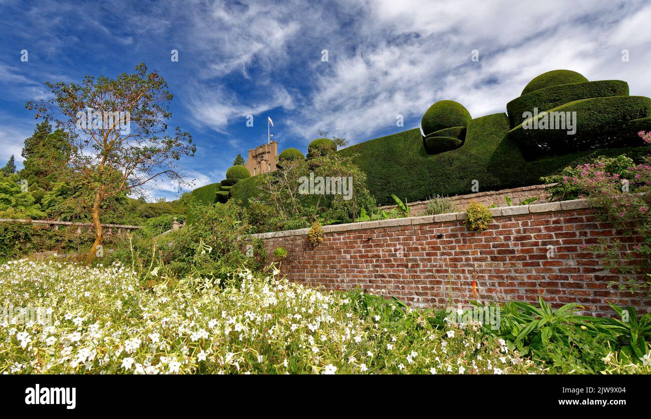 CRATHES CASTLE BANCHORY SCOTLAND WALLED GARDEN AND TOPIARY IN LATE ...
