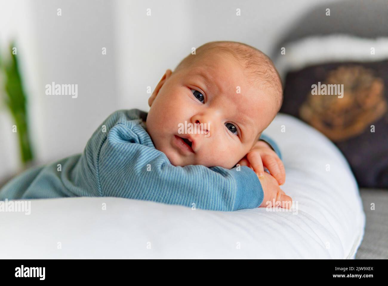 One month cute little Baby Resting on the pillow, looking in the camera ...
