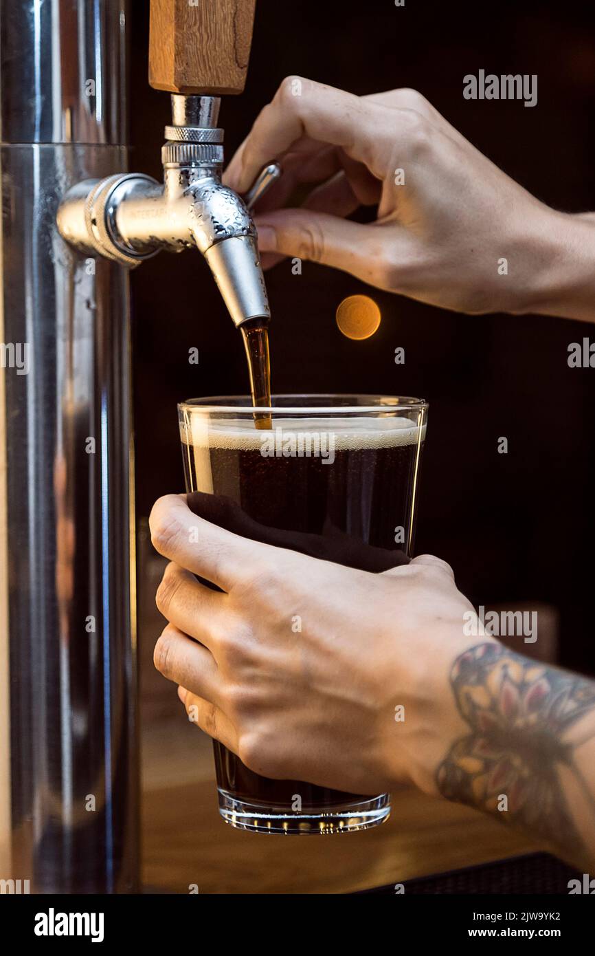 Bartender serving craft beer from a tap in a bar. Night club atmosphere ...