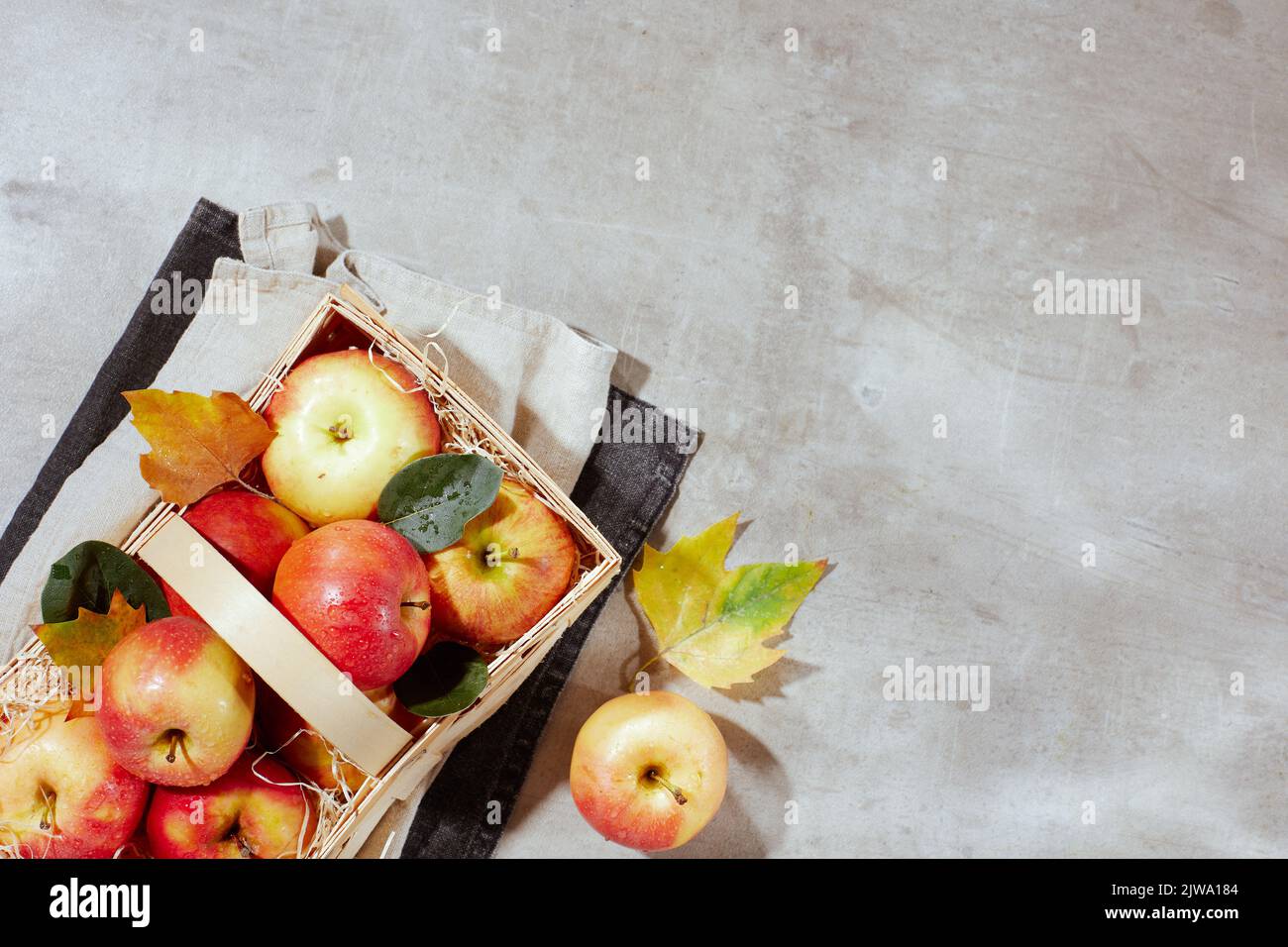 autumn flat lay on a concrete background with apples, basket, autumn ...