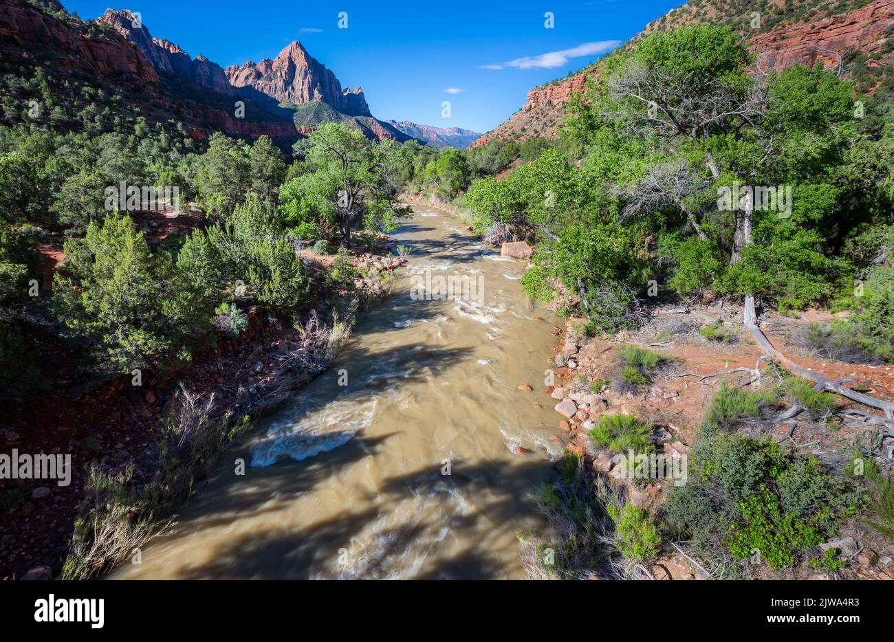 The Watchman and Virgin River from the Canyon Junction Bridge, Zion ...
