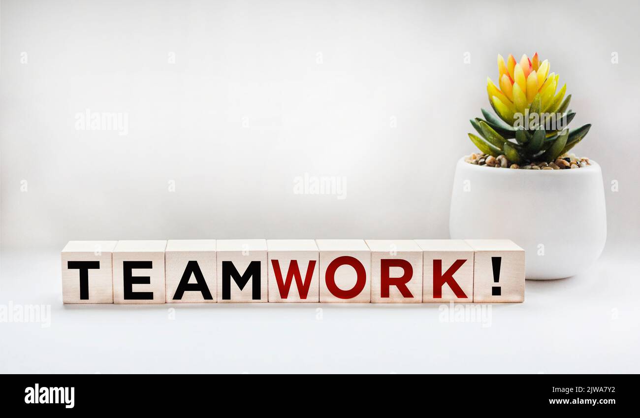 Teamwork word on wooden blocks and white background with cactus flower ...