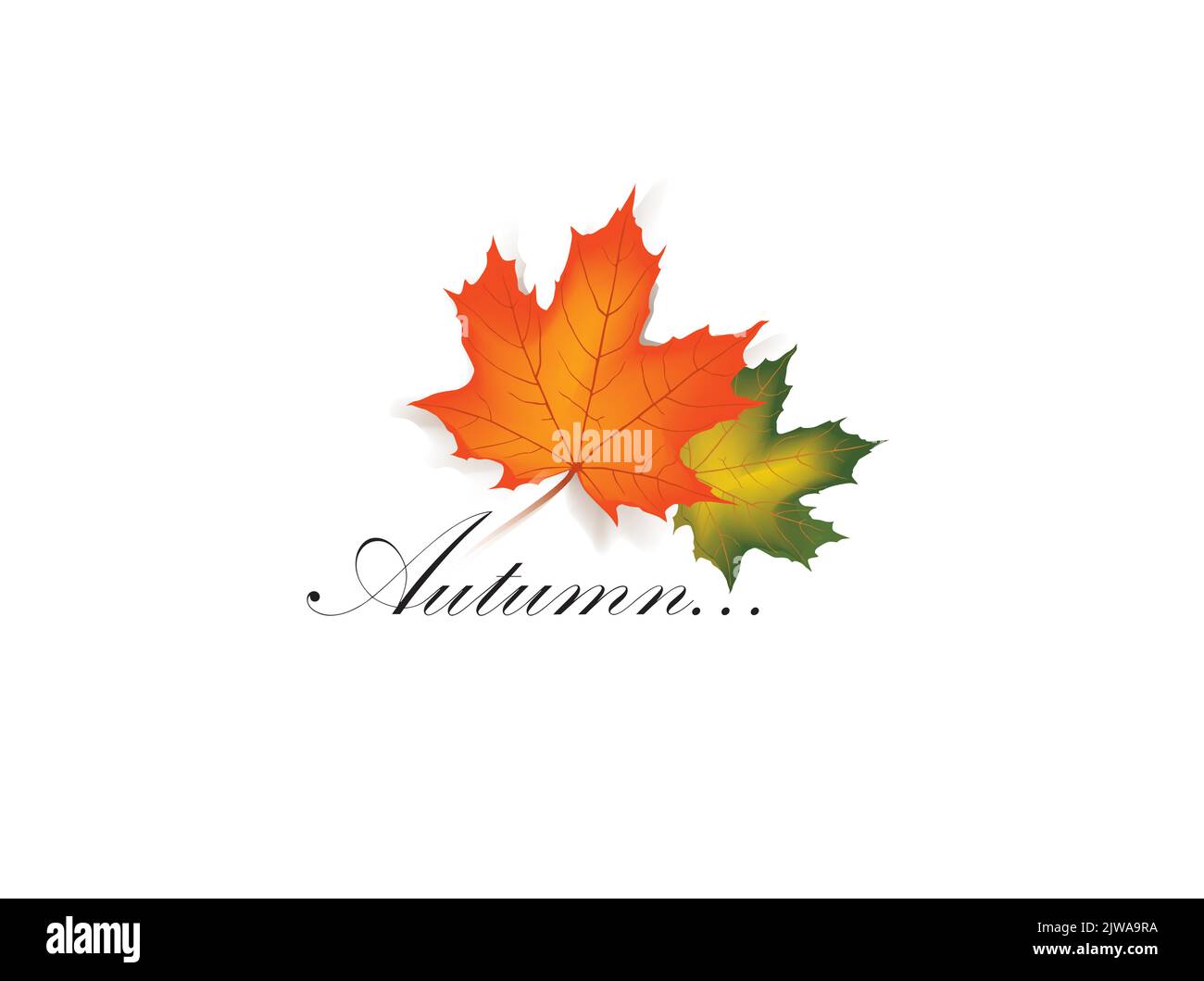 Autumn maple leaf frame with lettering and copy space on white ...