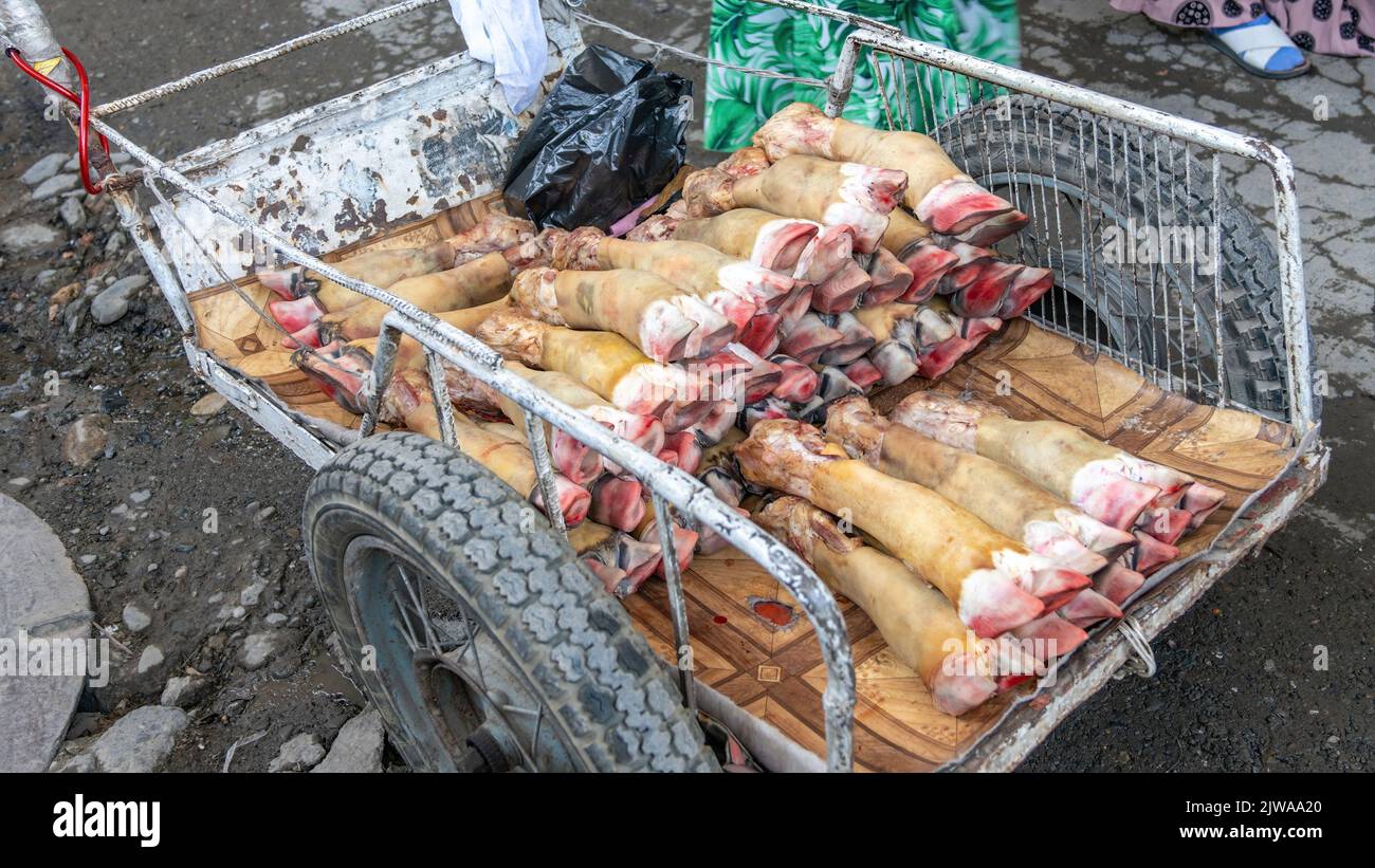 Cow hooves in a wheelbarrow in Osh food market, Kyrgyzstan. Raw sheep ...