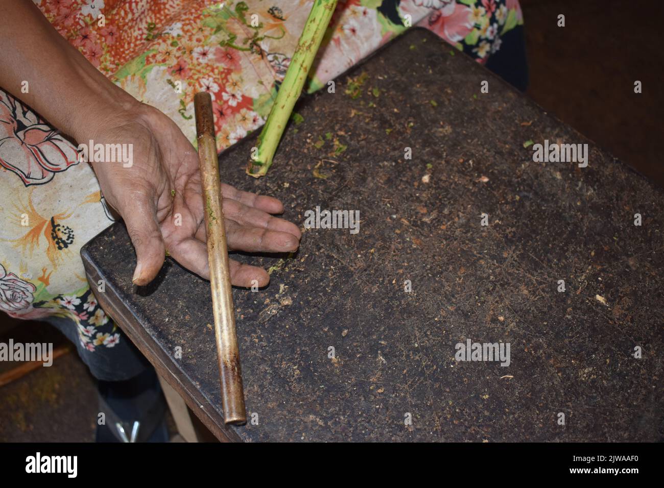 Cinnamon tree production hi-res stock photography and images - Alamy