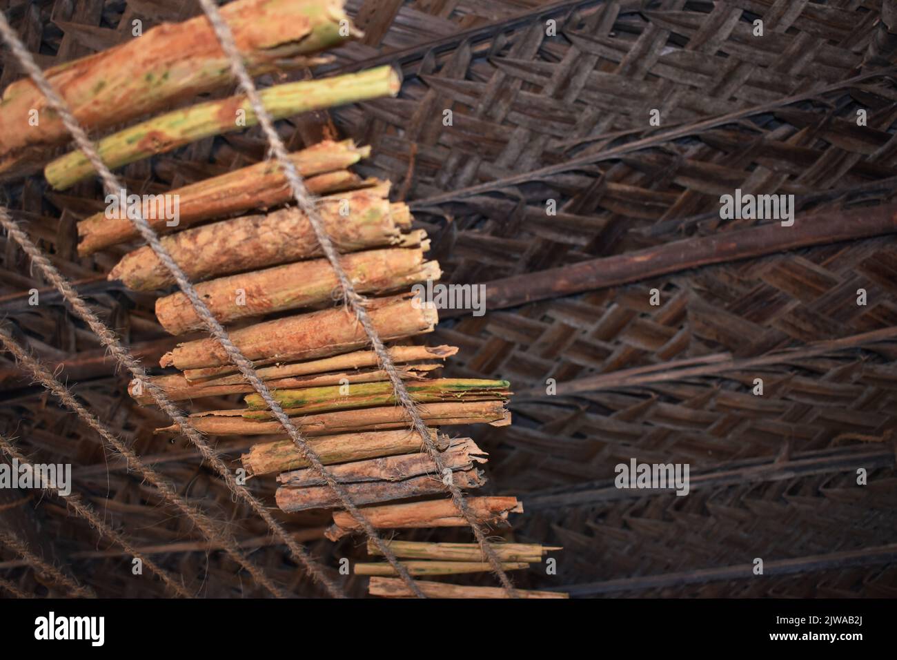 Woman peels cinnamon hi-res stock photography and images - Alamy
