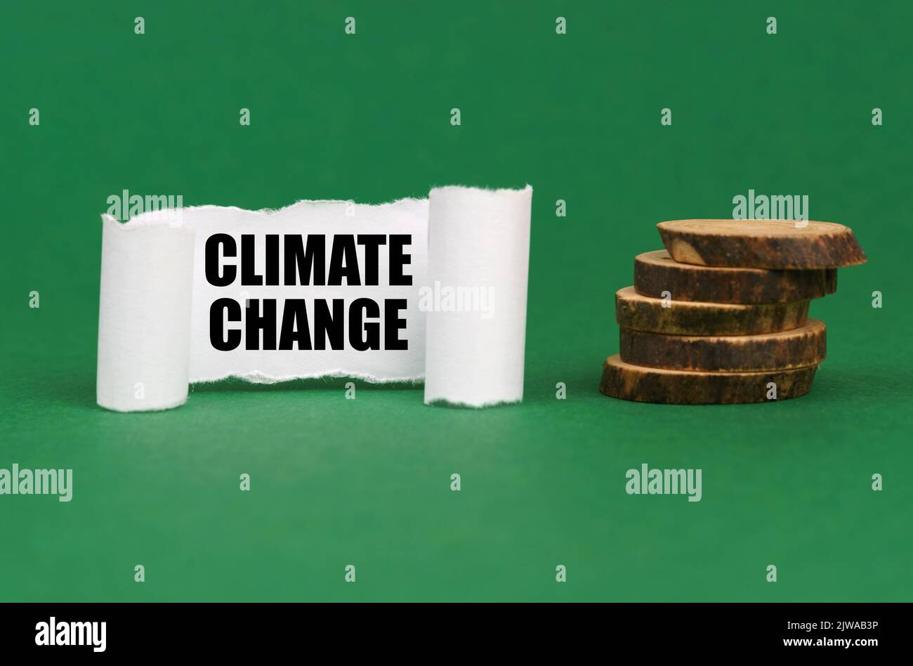 On a green surface, wooden circles and a white paper plate with the ...