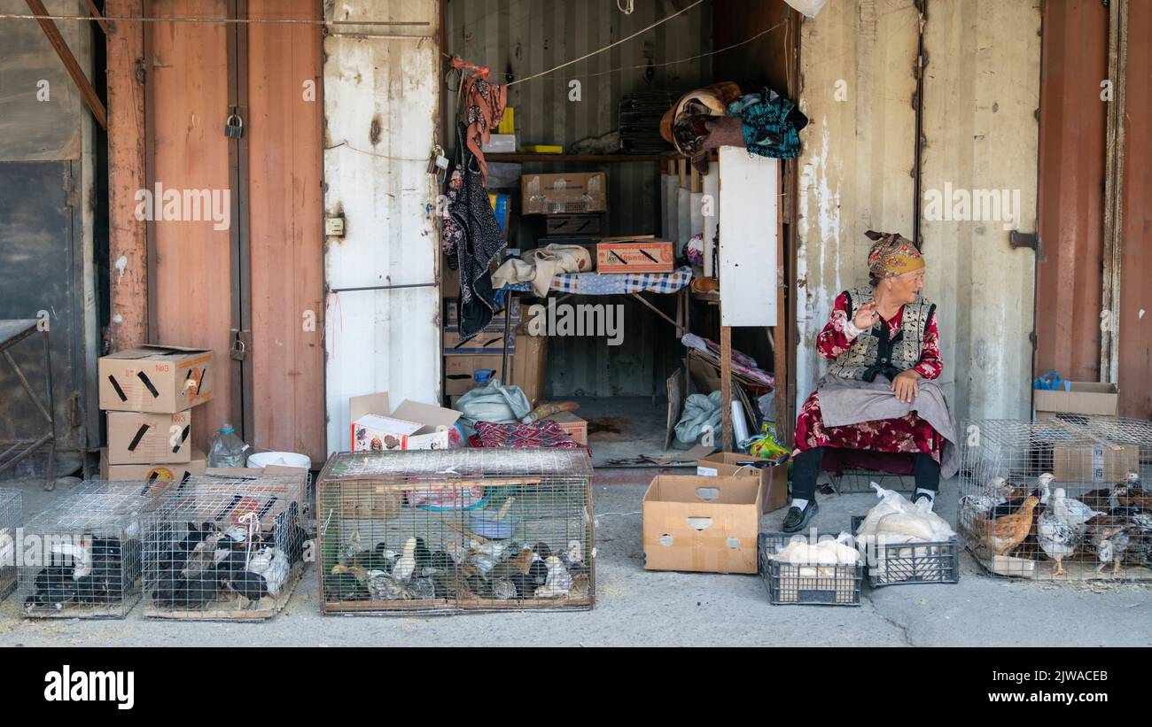 Osh, Kyrgyzstan - May 2022: Old woman selling chicken and roosters in ...
