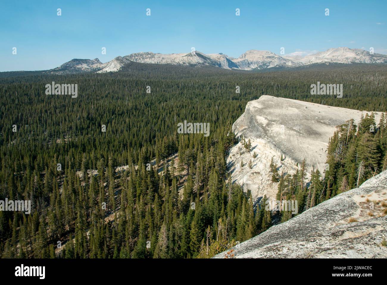 The views from the top of Lembert Dome in Yosemite National Park are ...