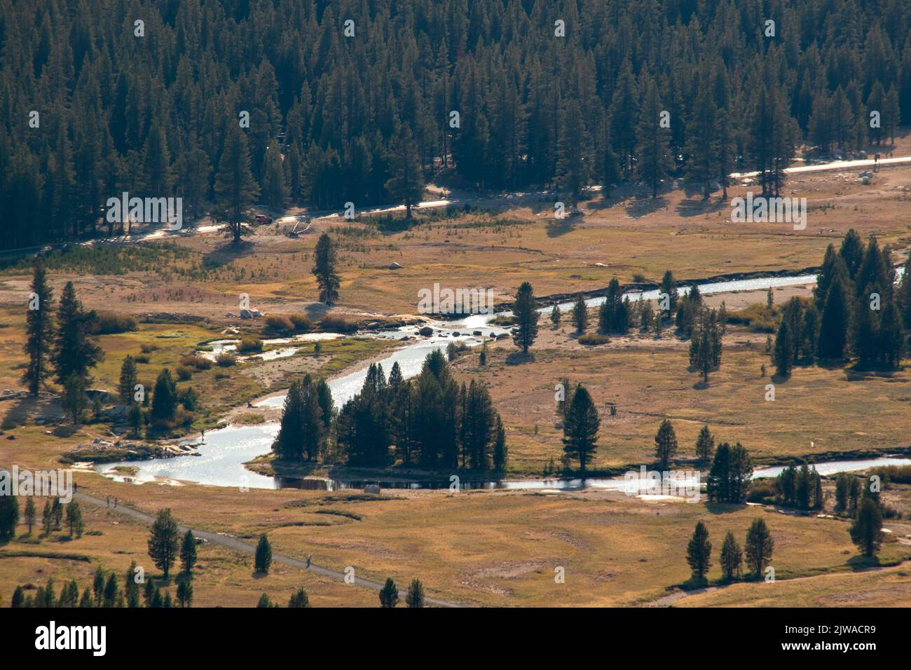 The views from the top of Lembert Dome in Yosemite National Park are ...