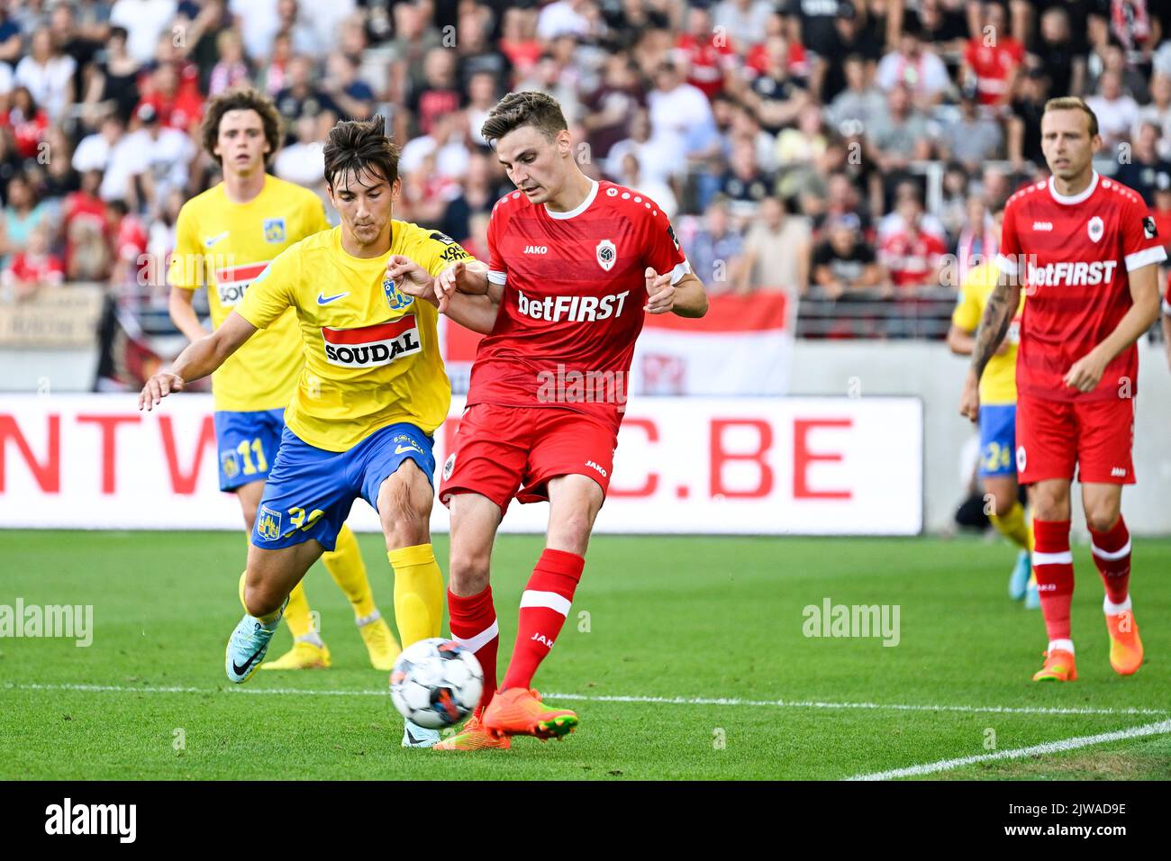 Westerlo's Thomas Van Den Keybus and Antwerp's Pieter Gerkens pictured ...