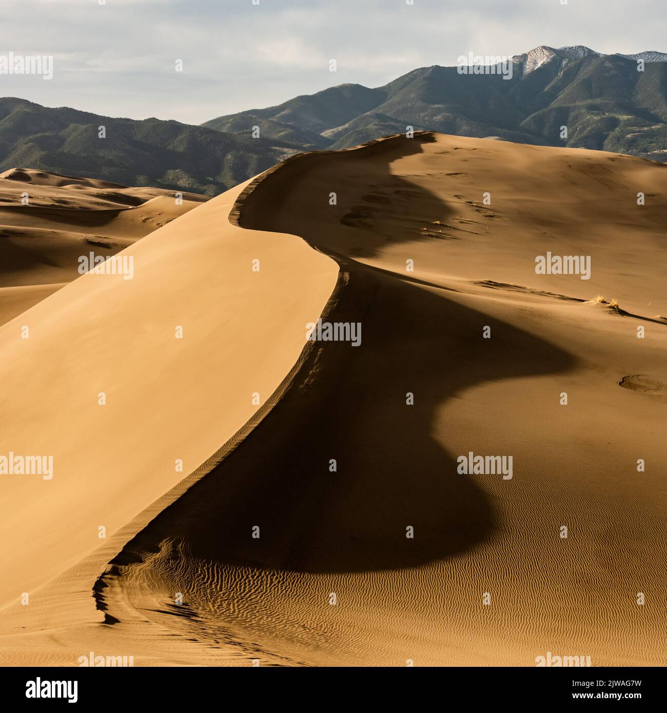 Ridge of Dune Climbs up toward sandy peak in Great Sand Dunes National ...