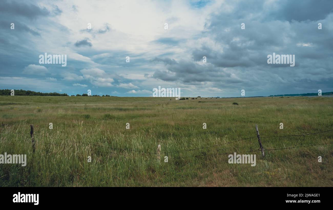 A view of old fence with wire and wooden poles in middle of field on ...