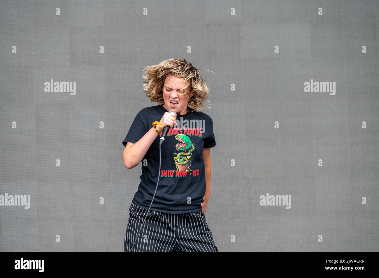 Punks billy hi-res stock photography and images - Alamy