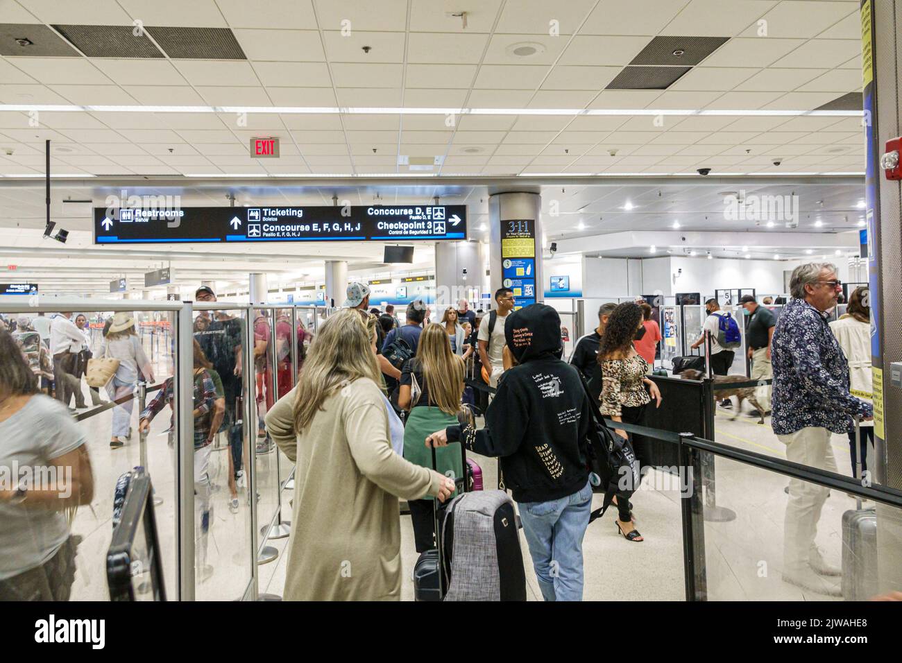 Us airport security check on passenger hi-res stock photography and ...