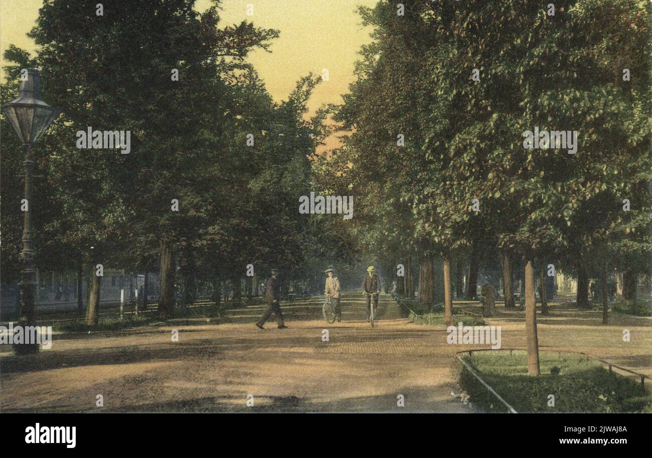 View in the Maliebaan in Utrecht Stock Photo - Alamy