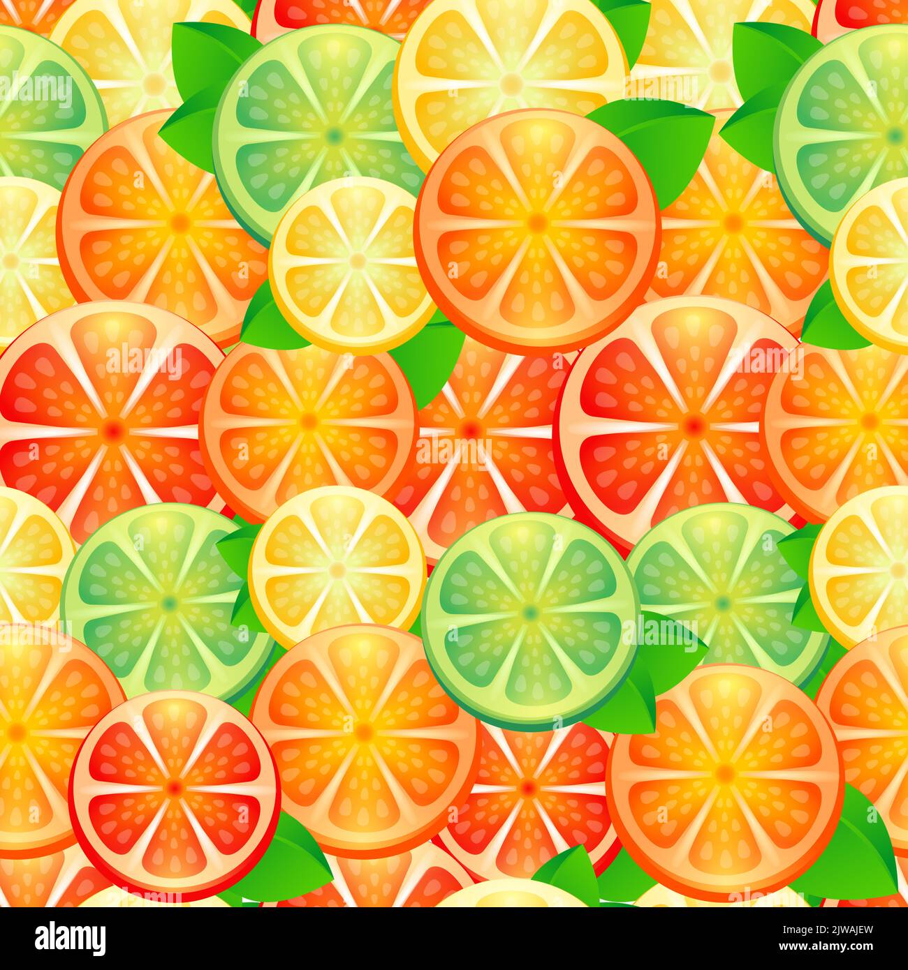 Vector seamless pattern with different slice citruses: grapefruit ...