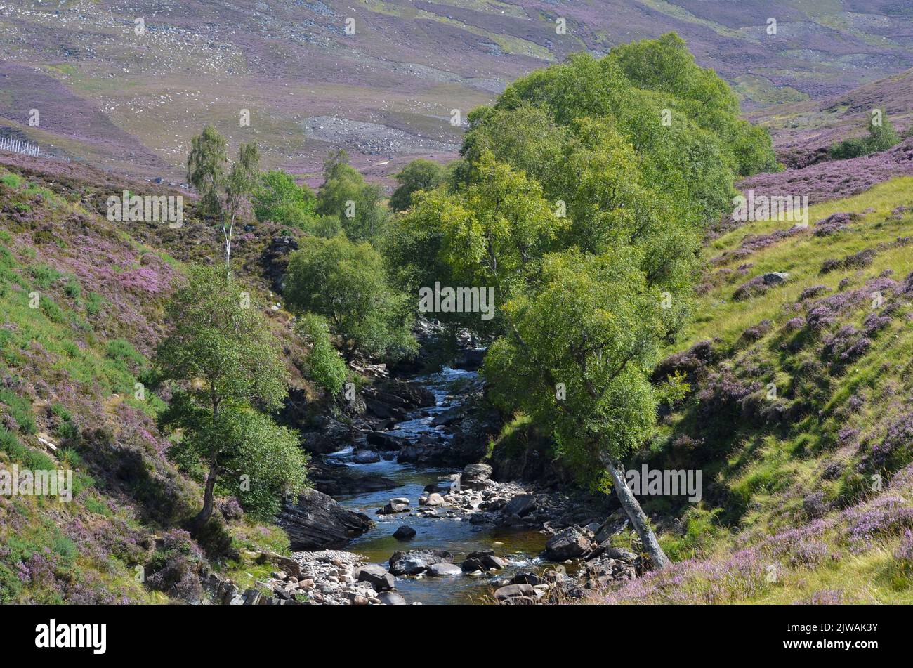 Callater Burn in Glen Callater, a Site of Special Scientific Interest ...