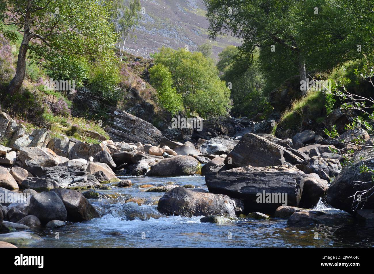 Callater Burn in Glen Callater, a Site of Special Scientific Interest ...