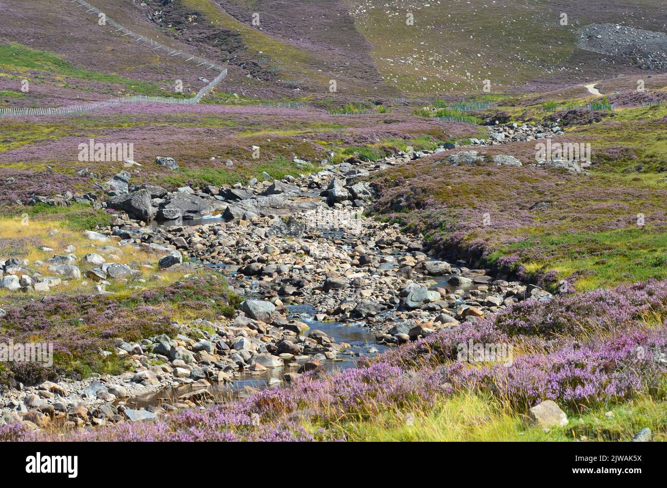Callater Burn in Glen Callater, a Site of Special Scientific Interest ...