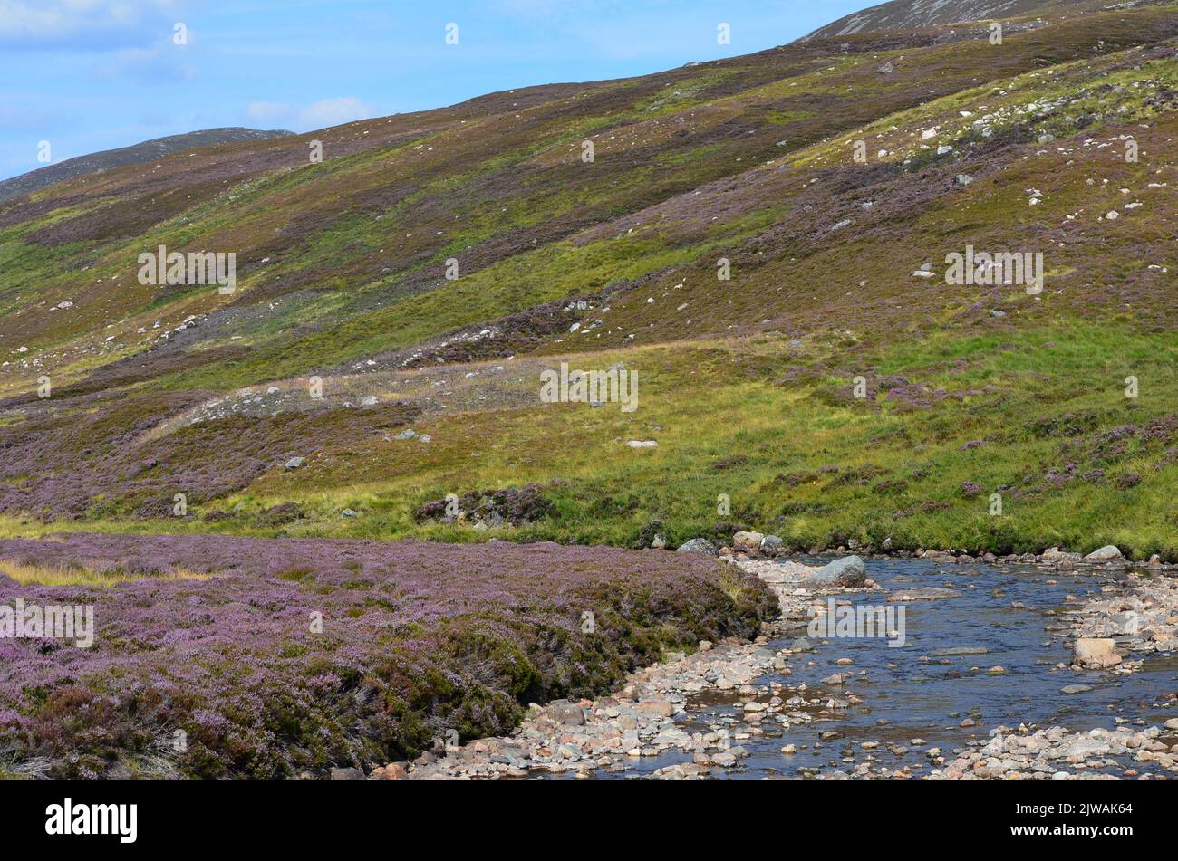 Callater Burn in Glen Callater, a Site of Special Scientific Interest ...