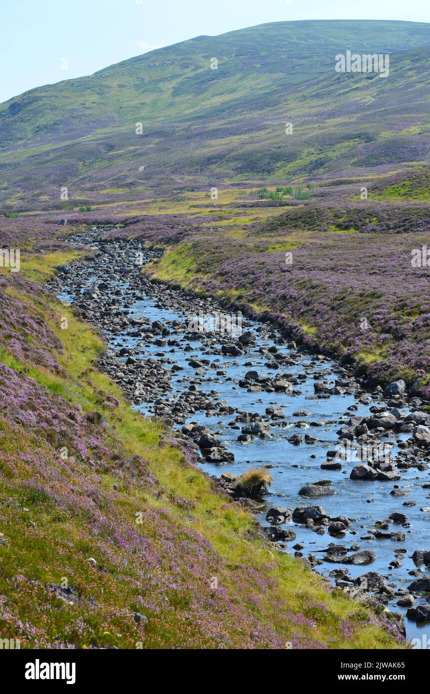 Scottish rights of way act hi-res stock photography and images - Alamy