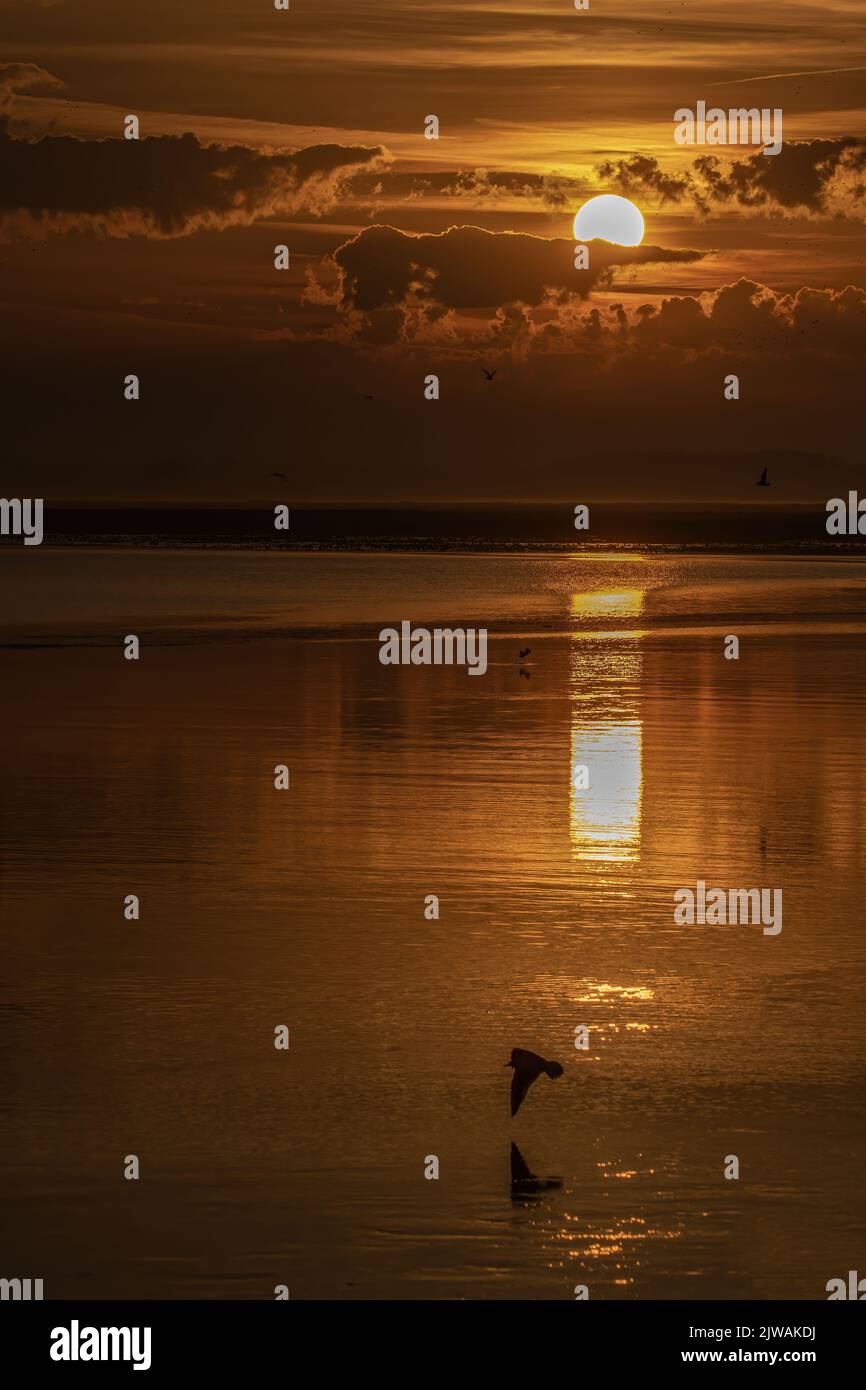 Reflet sur la plage hi-res stock photography and images - Alamy