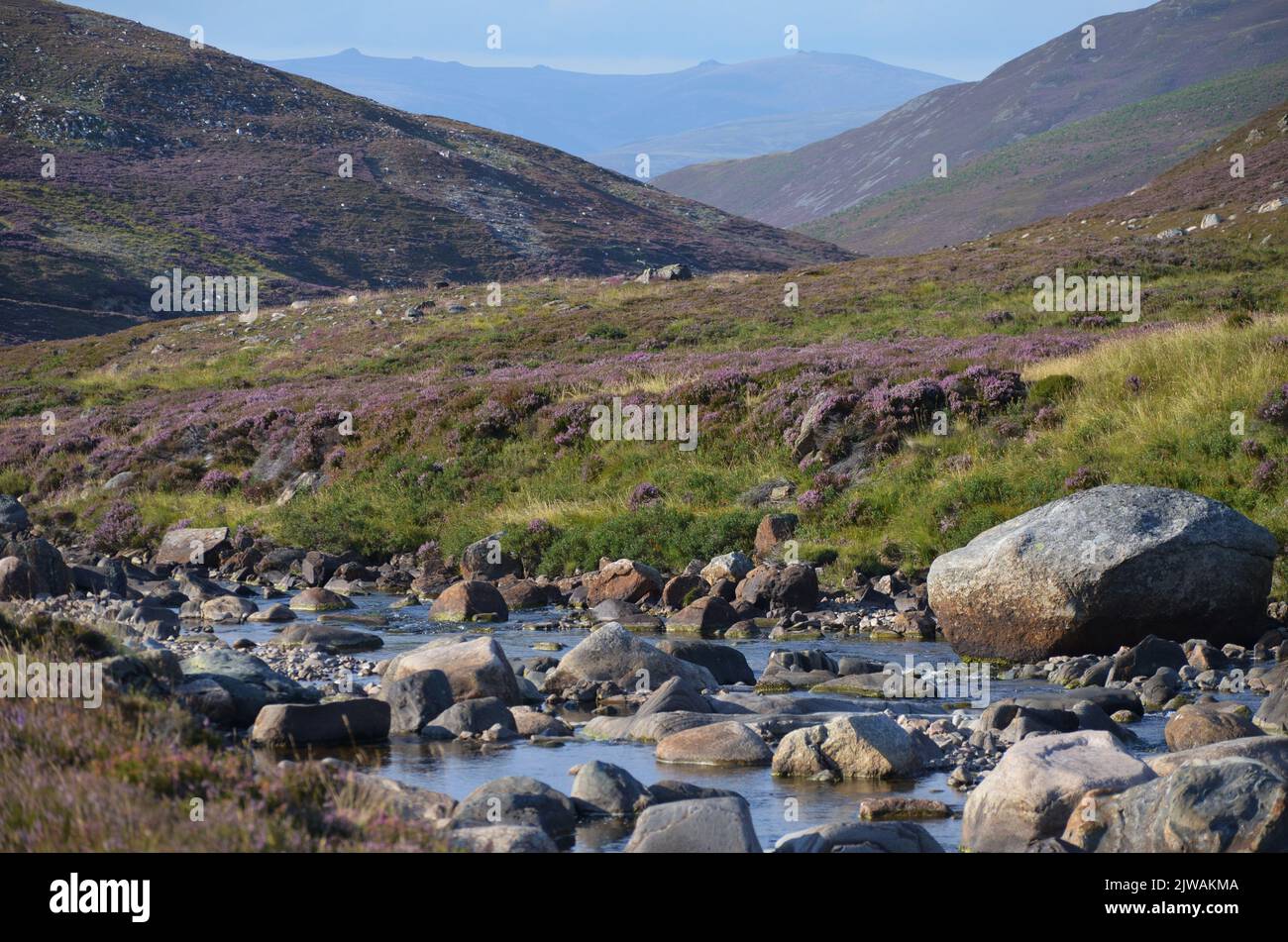 Callater Burn in Glen Callater, a Site of Special Scientific Interest ...