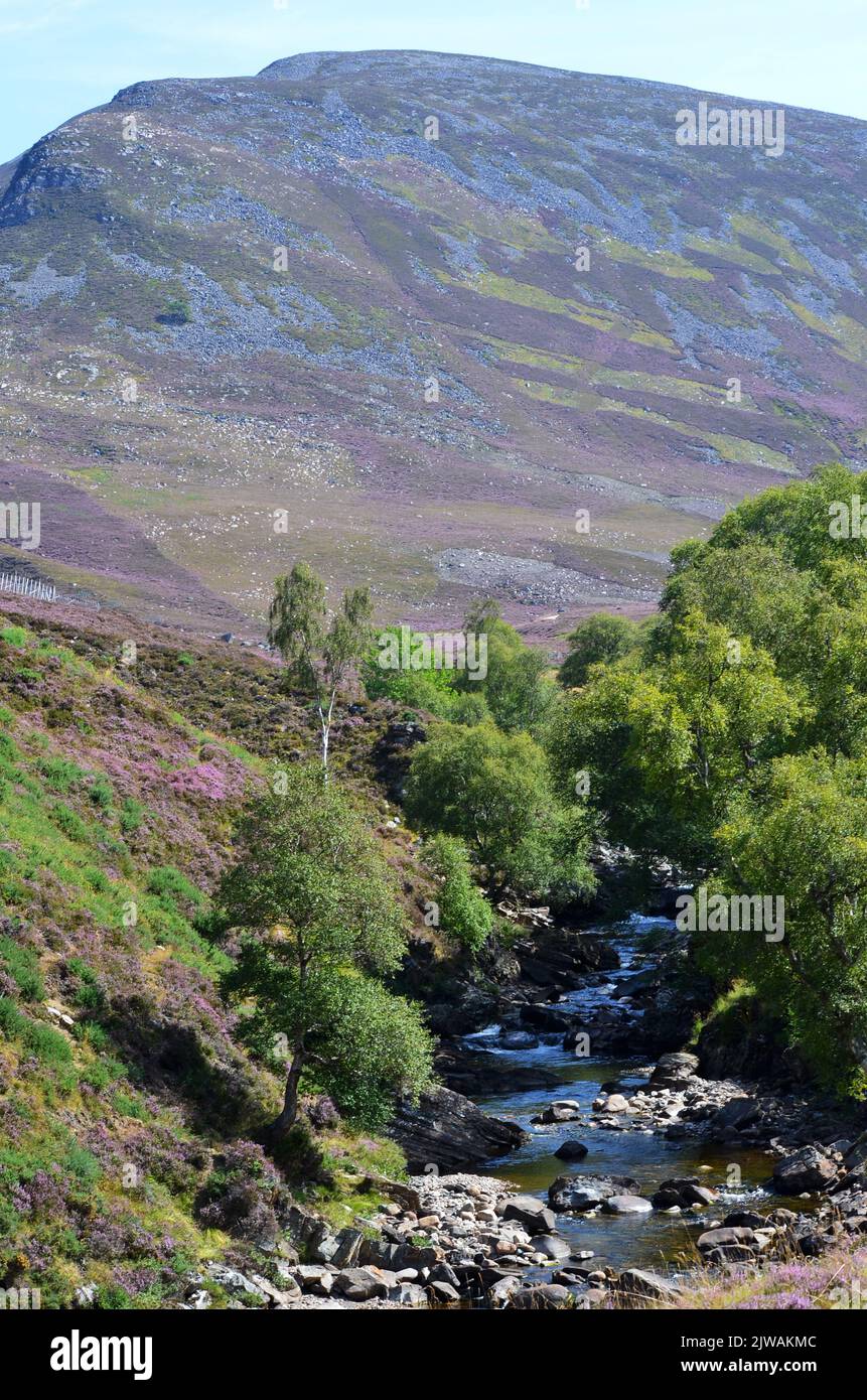 Callater Burn in Glen Callater, a Site of Special Scientific Interest ...