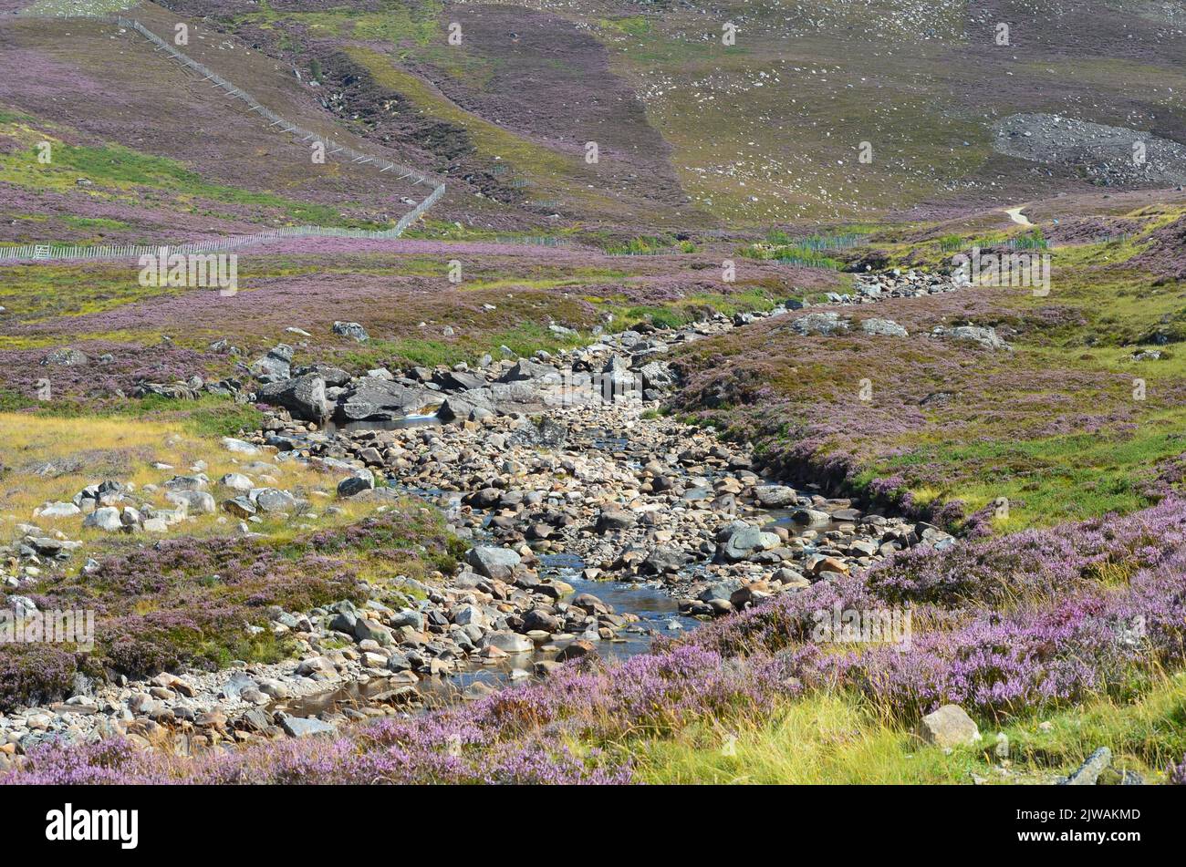 Callater Burn in Glen Callater, a Site of Special Scientific Interest ...