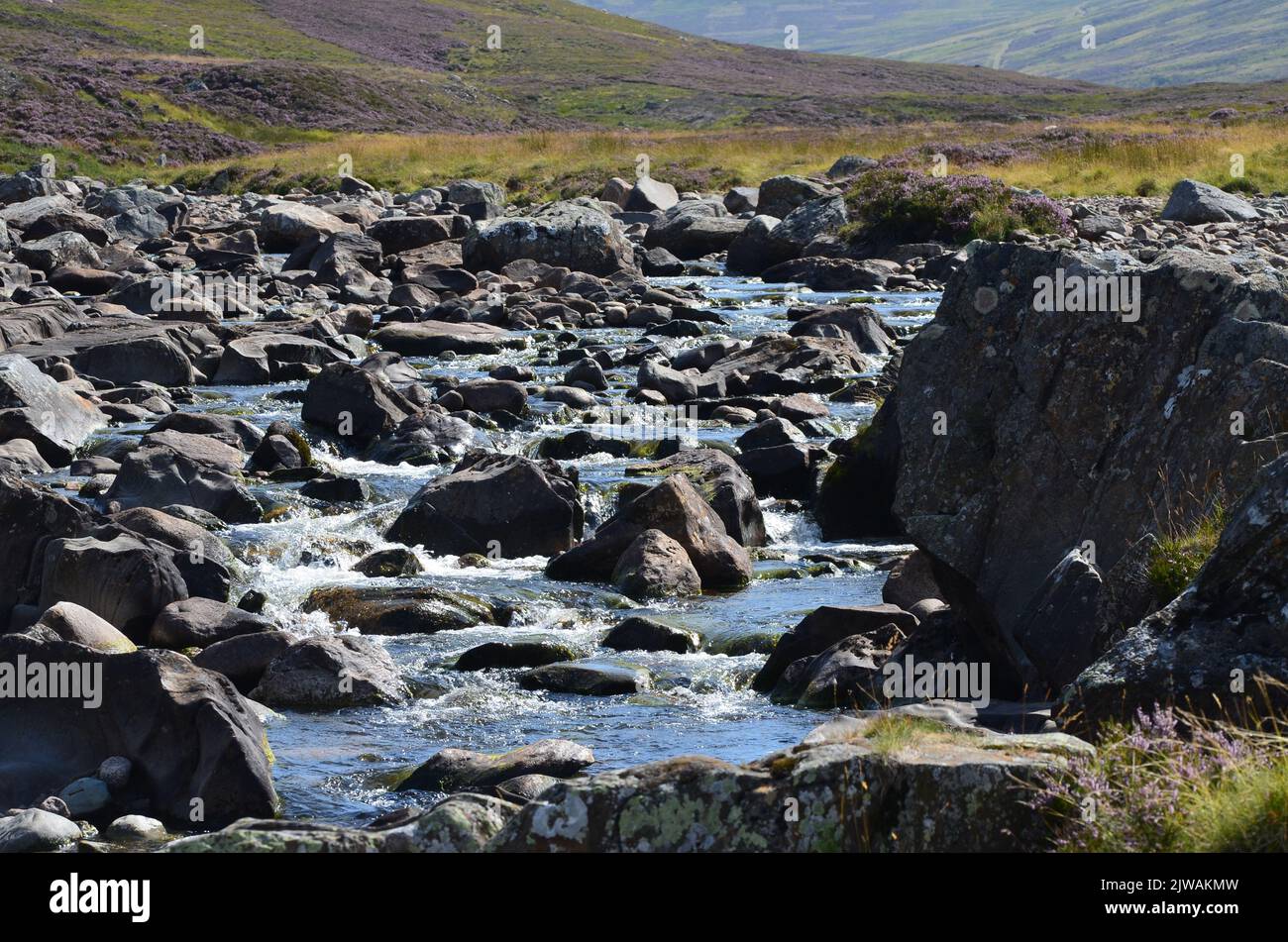 Callater Burn in Glen Callater, a Site of Special Scientific Interest ...