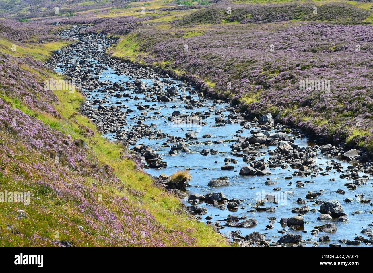 Jocks road hi-res stock photography and images - Alamy