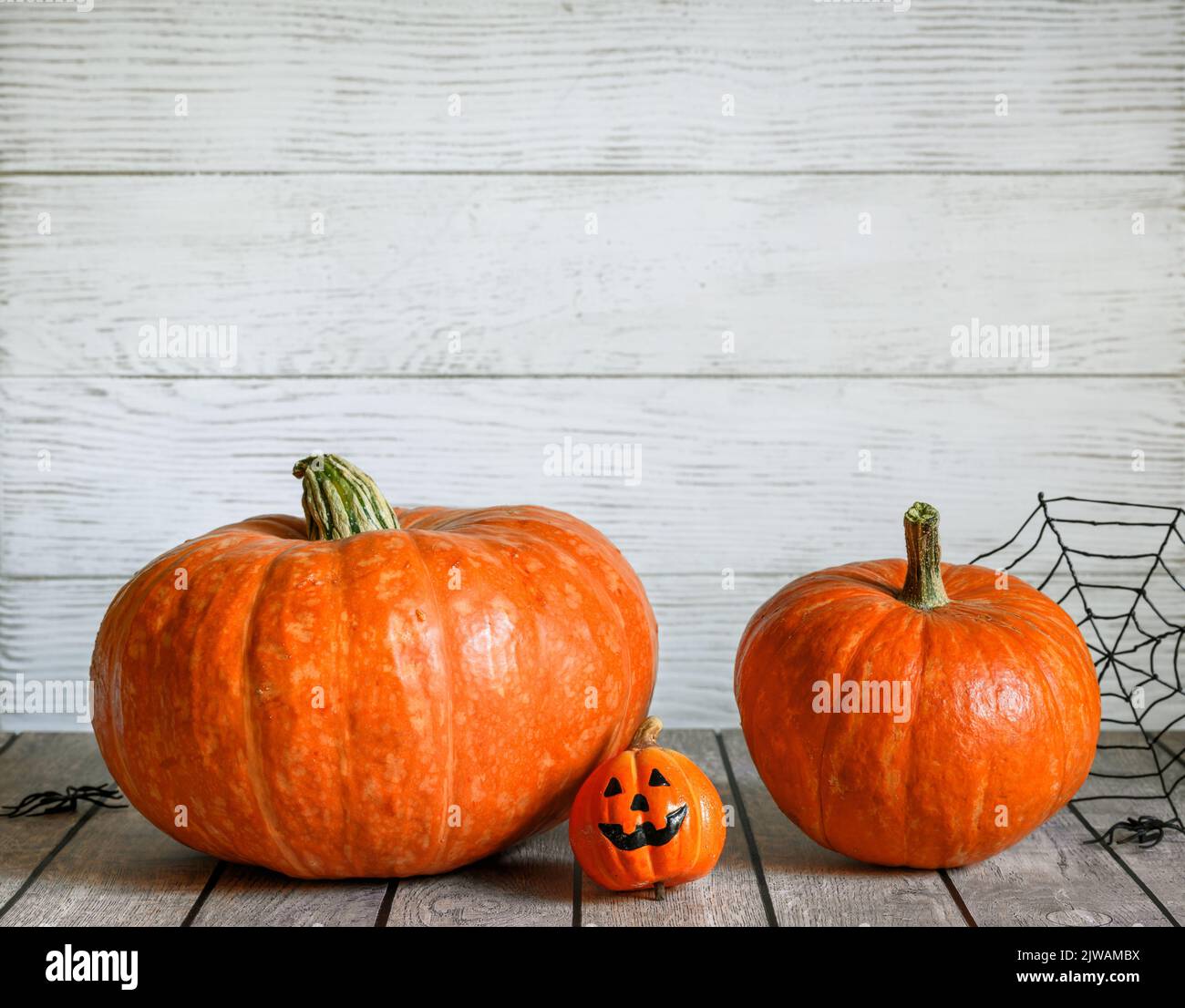Halloween pumpkins on wood white planks background. Vegetables set ...