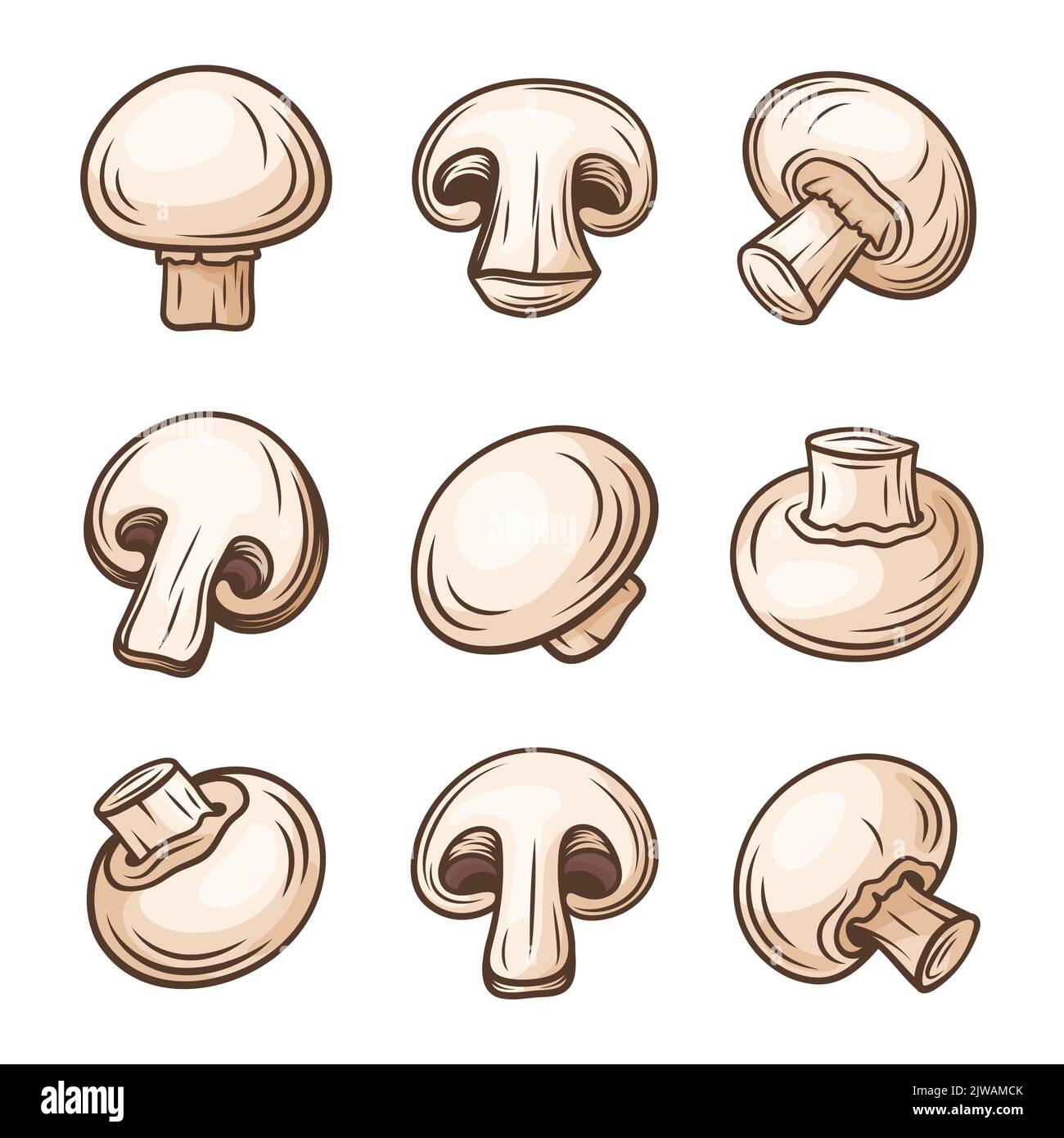 Vector Hand Drawn White Champignon Mushroom Set. Cartoon Champignon ...