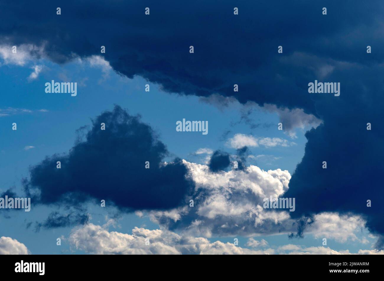 Cumulus Clouds in Sydney, NSW, Australia. (Photo by Tara Chand Malhotra ...