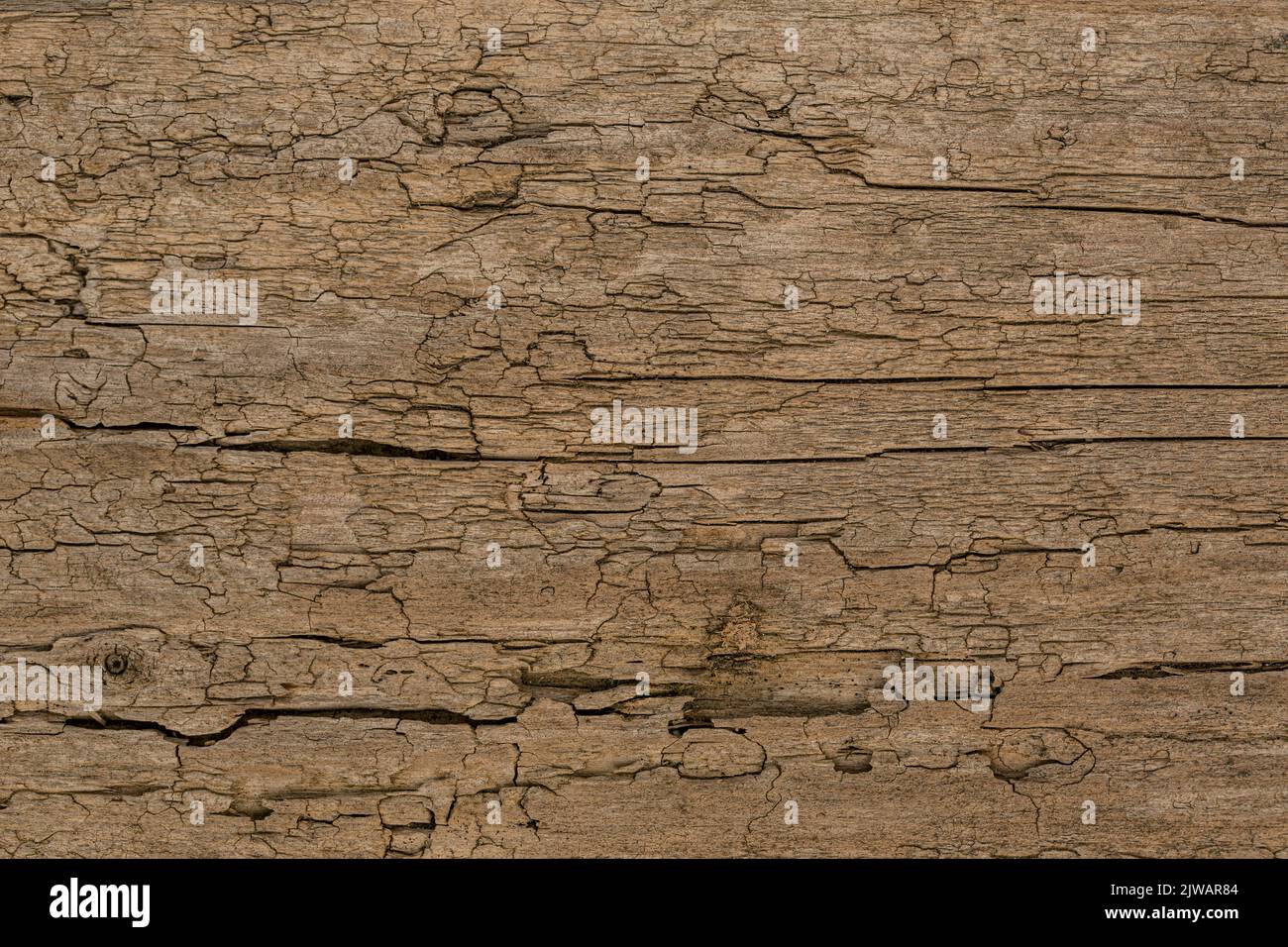 Closeup of background structure of a weathered wooden surface dried ...
