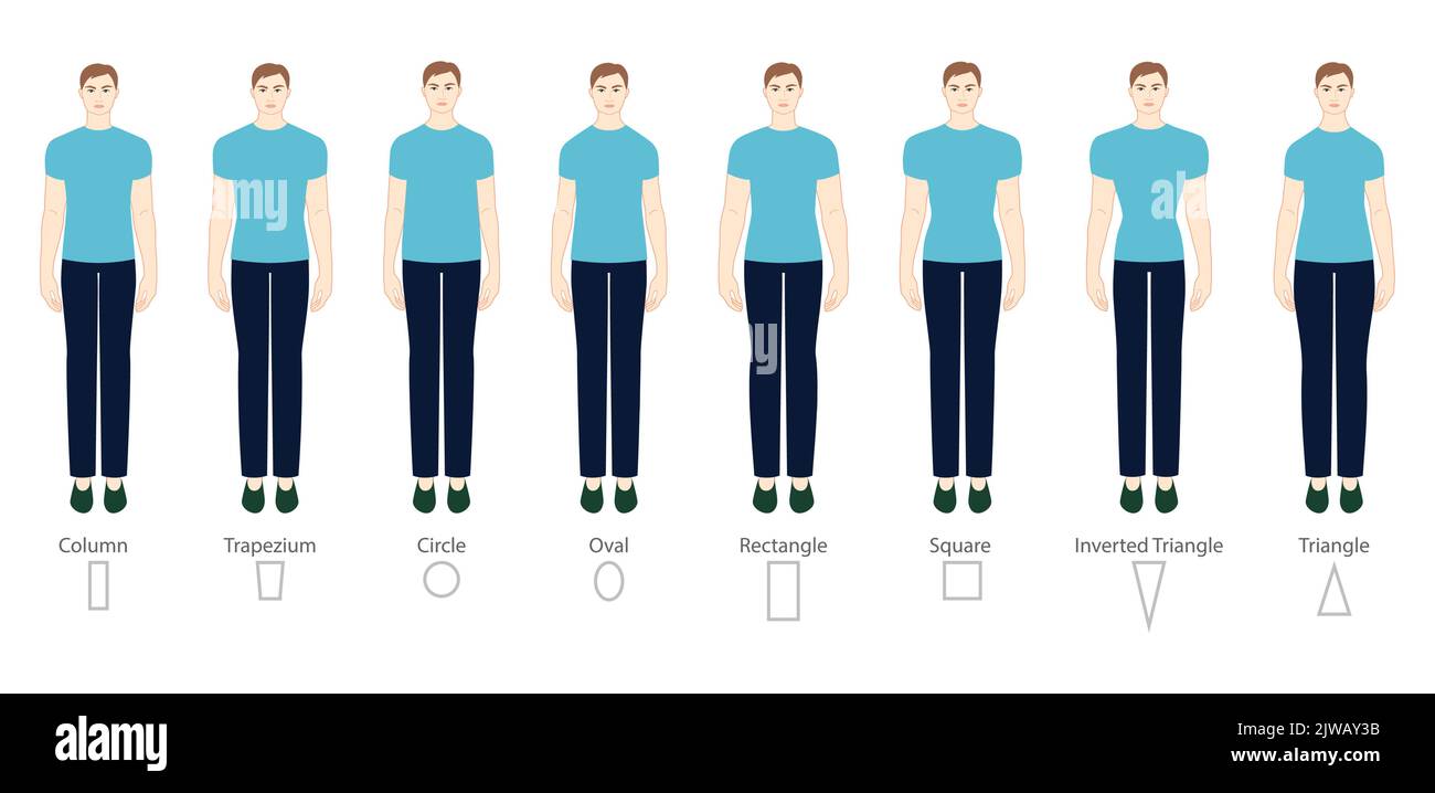 Set of Men body shape types: triangle, column, trapezium, circle, oval ...