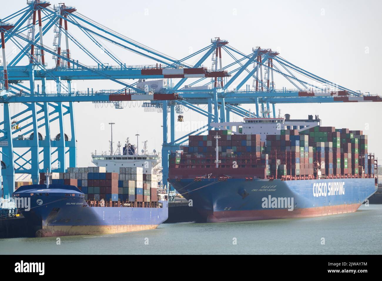 A Cosco Shipping cargo ship at dock in Bruges, Belgium Stock Photo - Alamy