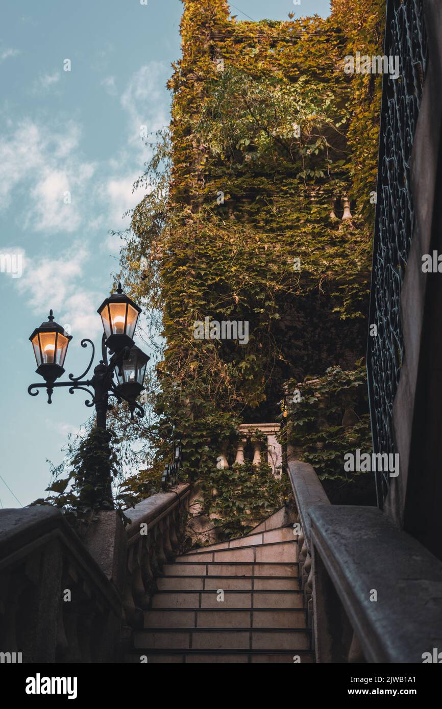 Vine covered building hi-res stock photography and images - Alamy