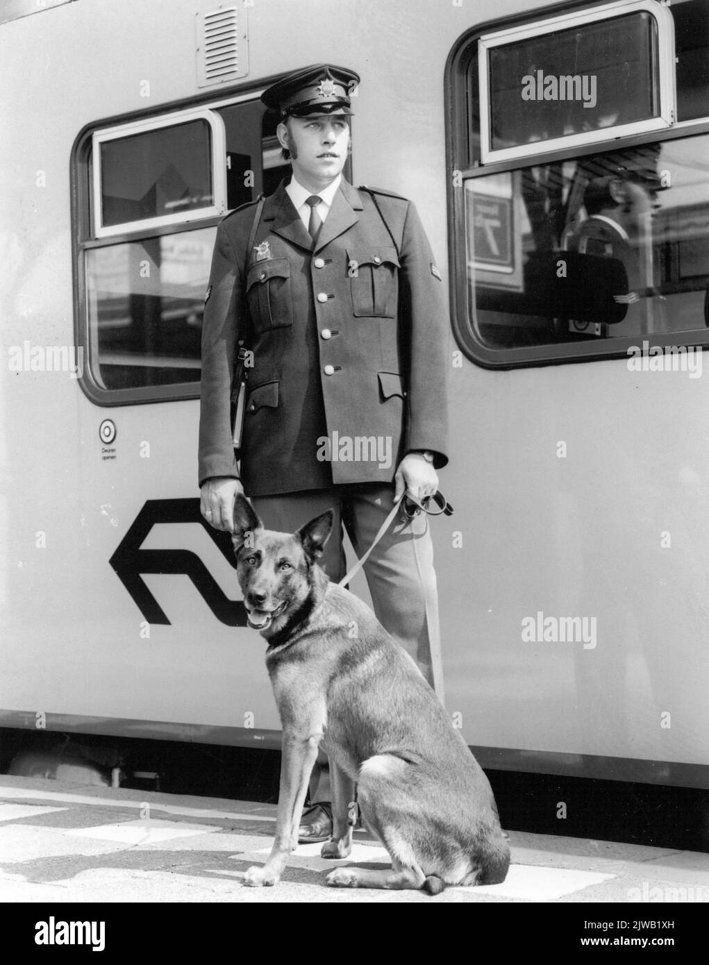 Guard dog portrait Black and White Stock Photos & Images - Alamy